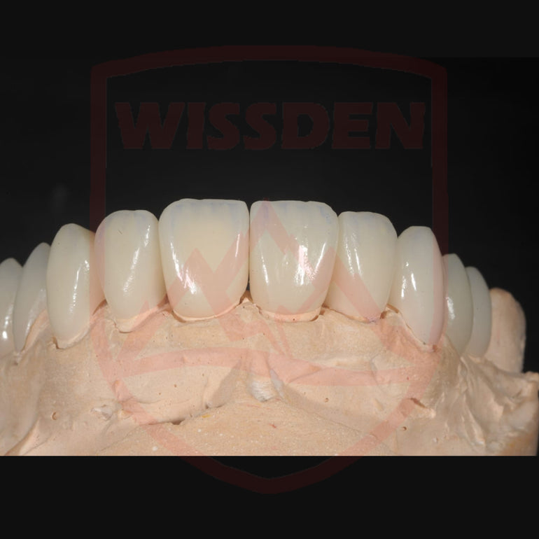 Lithium disilicate Blocks – Wissden